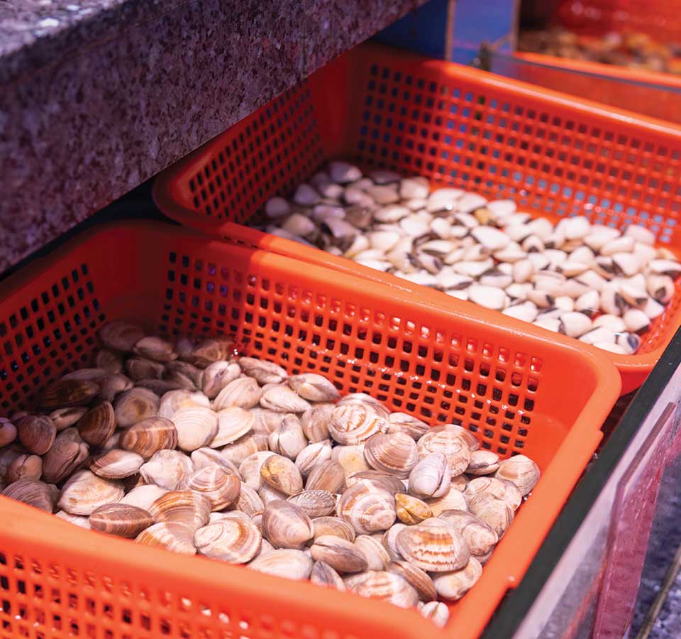 Welcome To Tri-Core Plastics Commercial Fishing Totes & Industrial ...